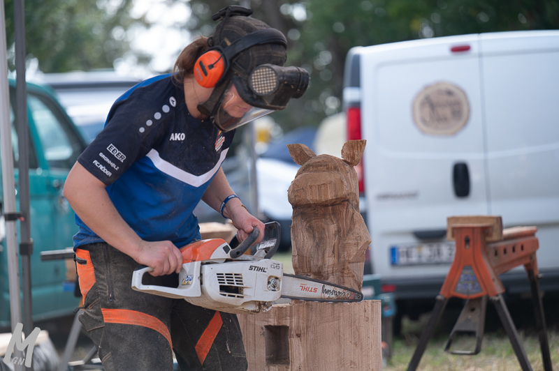 Finalveranstaltung Deutsche Speedcarving Meisterschaft 2025